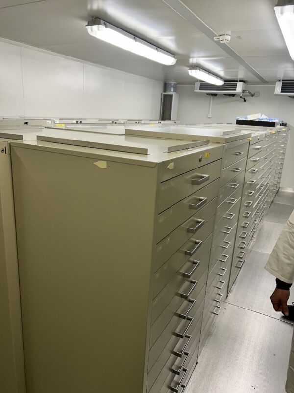 Spotlight on DSMZ: Germany’s Leading Microbial Culture Collection ...